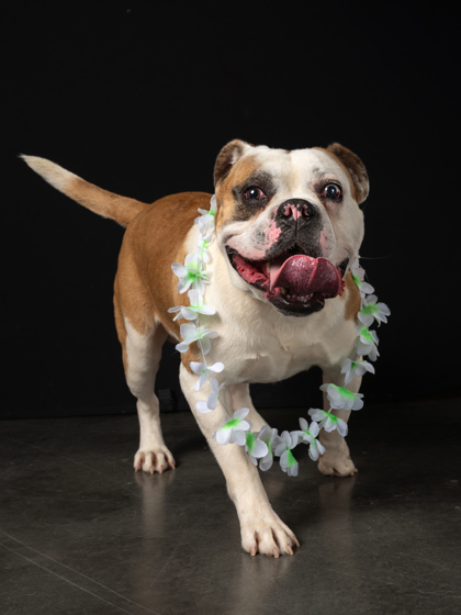 MARLEE located in Atlanta, GA