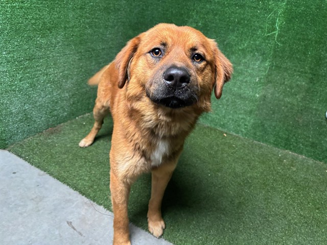 RYAN located in Lancaster, CA was saved