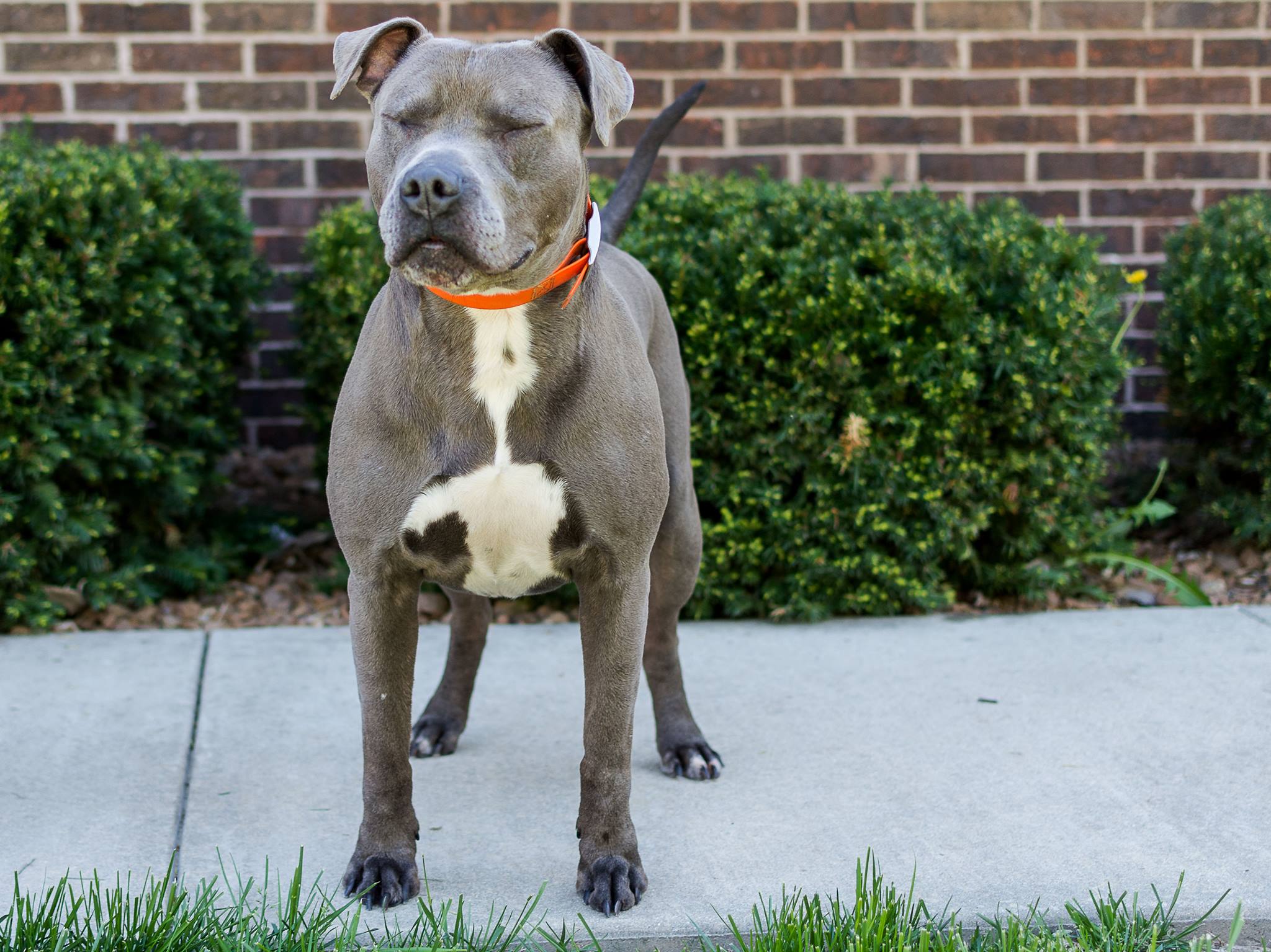 LEROY located in Belleville , IL