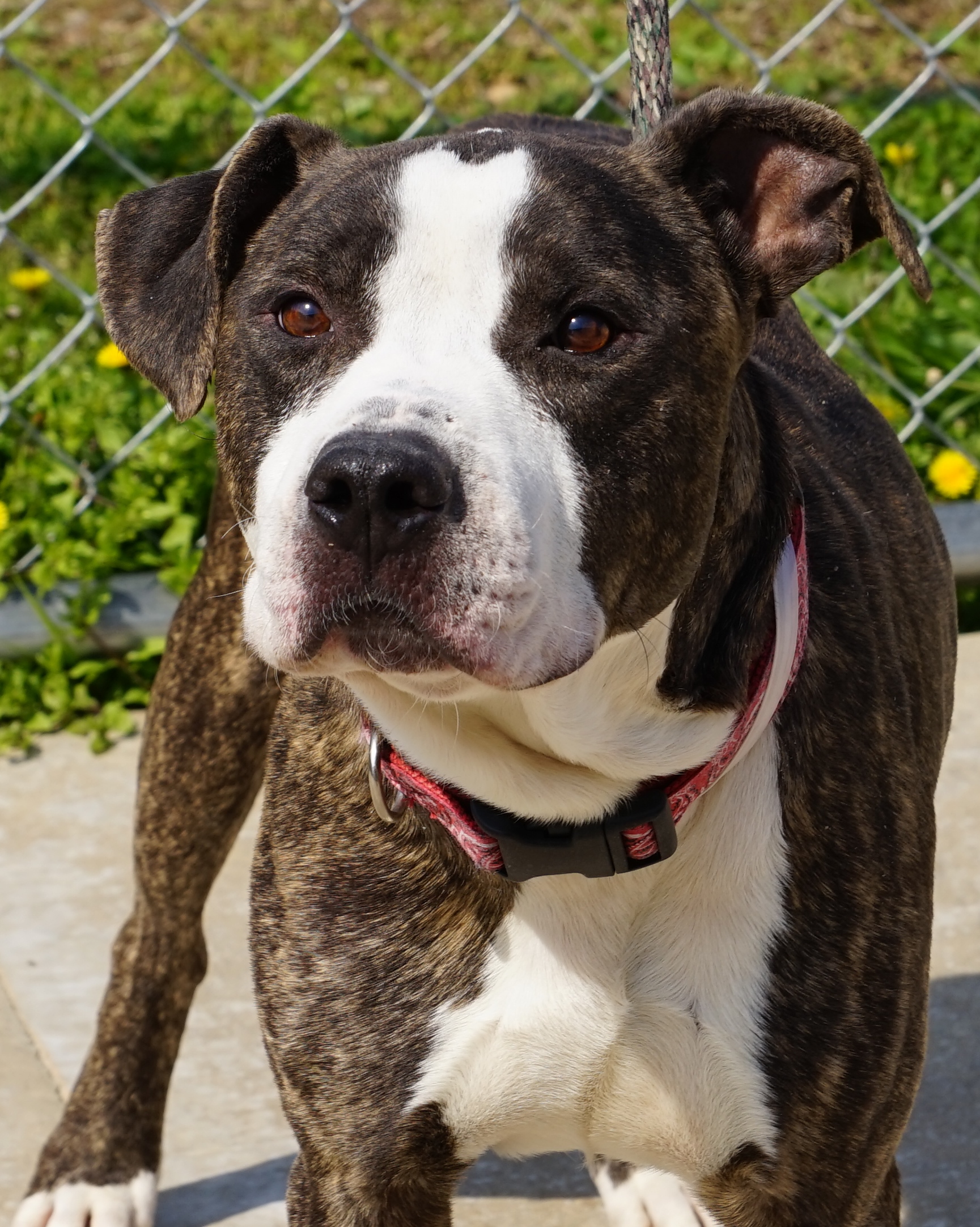 TUCKER located in Toccoa, GA was saved