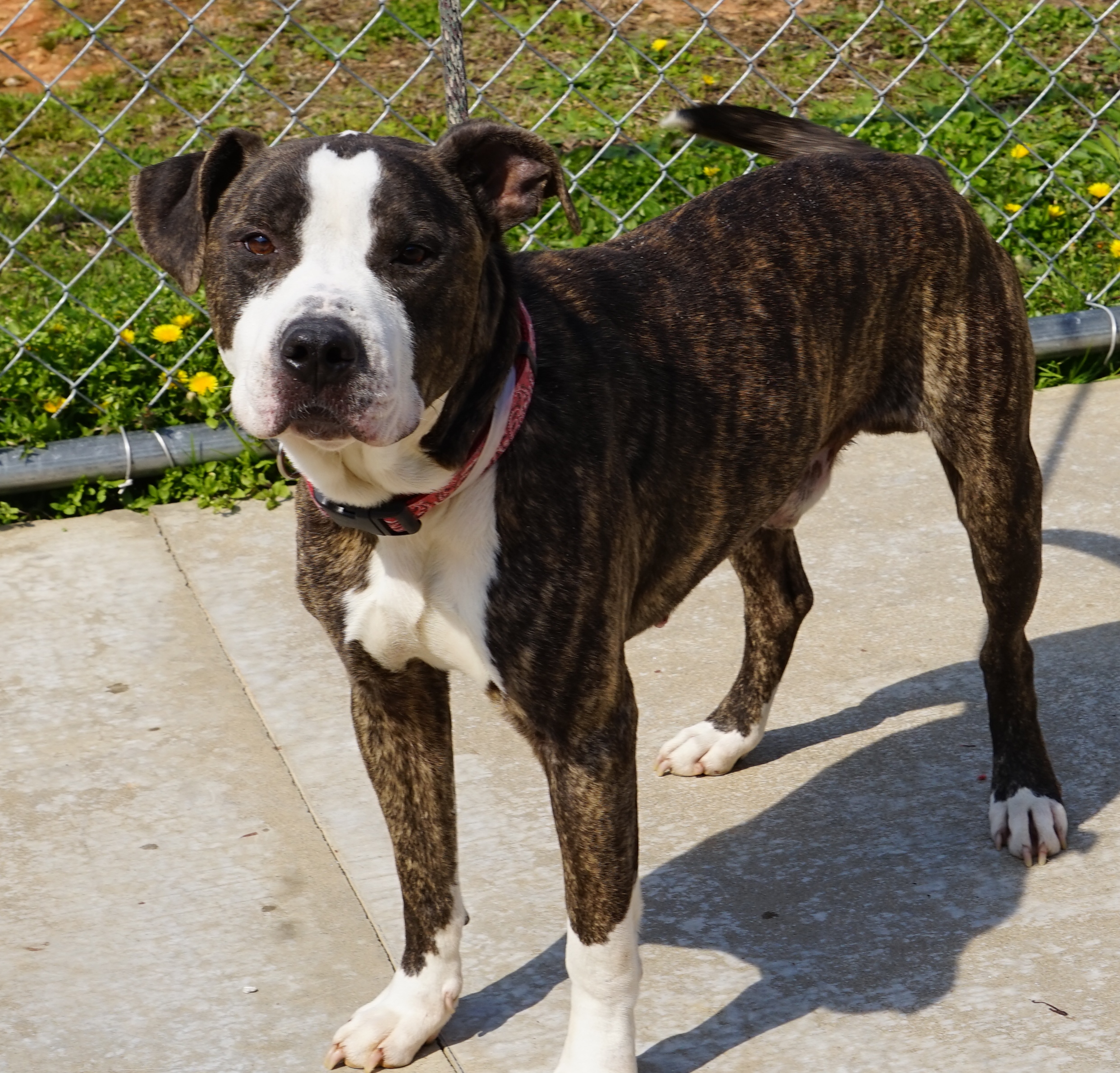 TUCKER located in Toccoa, GA was saved