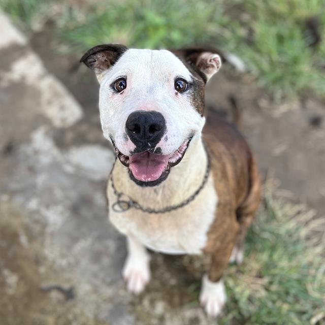 KATANA located in Modesto, CA was saved