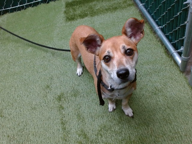 BEBE located in Downey, CA was saved