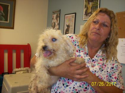 WINNIE located in Camden, SC has an unknown status at this time