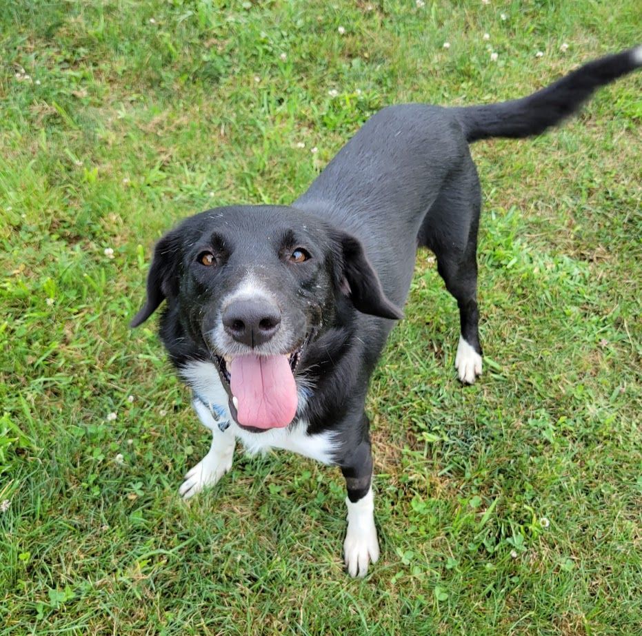 CHUNKY located in Lisbon, OH was saved