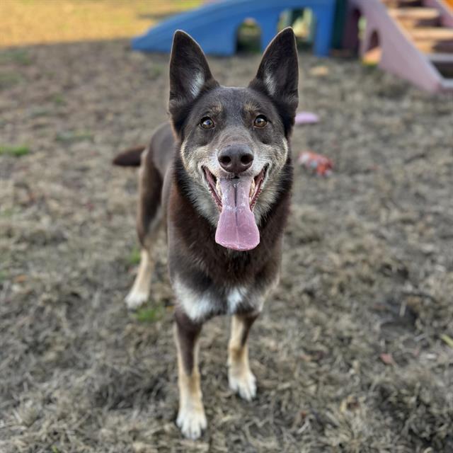 DRAKO located in Modesto, CA has an unknown status at this time