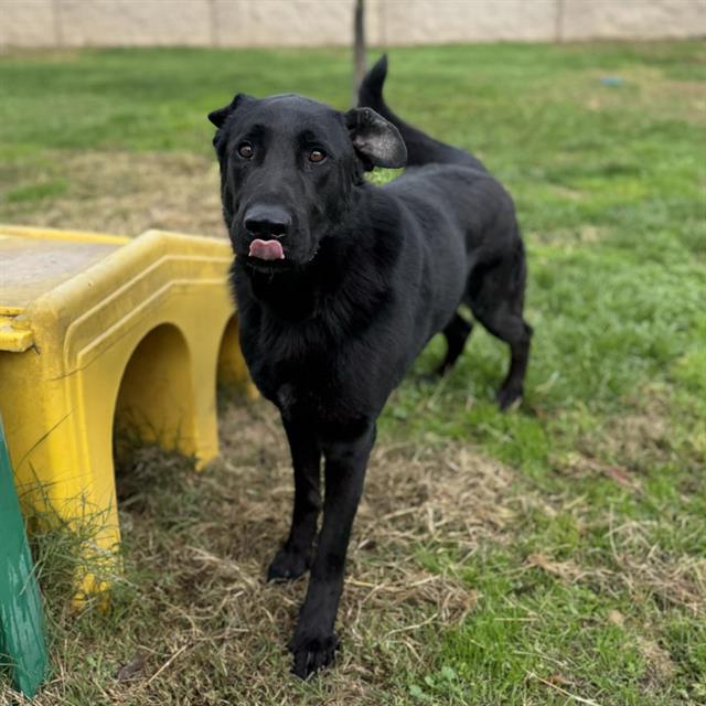 LEO located in Modesto, CA has an unknown status at this time