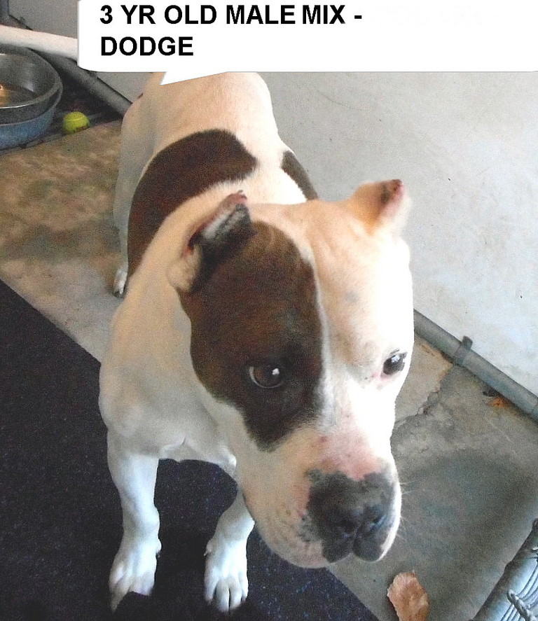 DODGE located in Elizabethtown, NC was saved