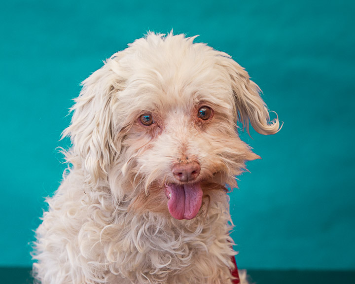 ANDRE located in Baldwin Park , CA was saved