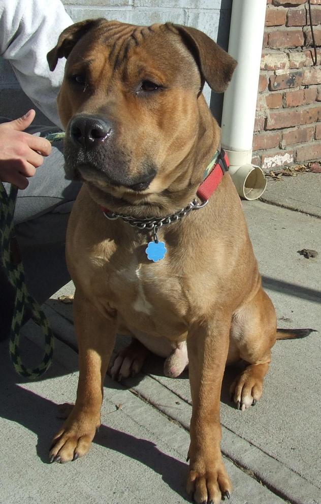 BUCK located in Newark, NJ was saved
