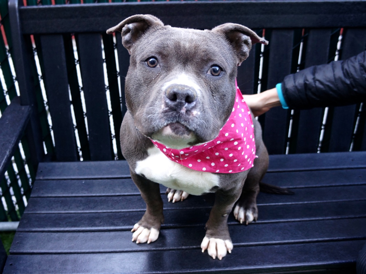 PRINCESS TIABEANIE-URGENT located in New York, NY was saved
