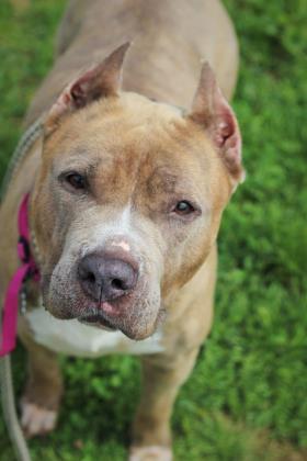 QUEEN located in Philadelphia, PA was saved