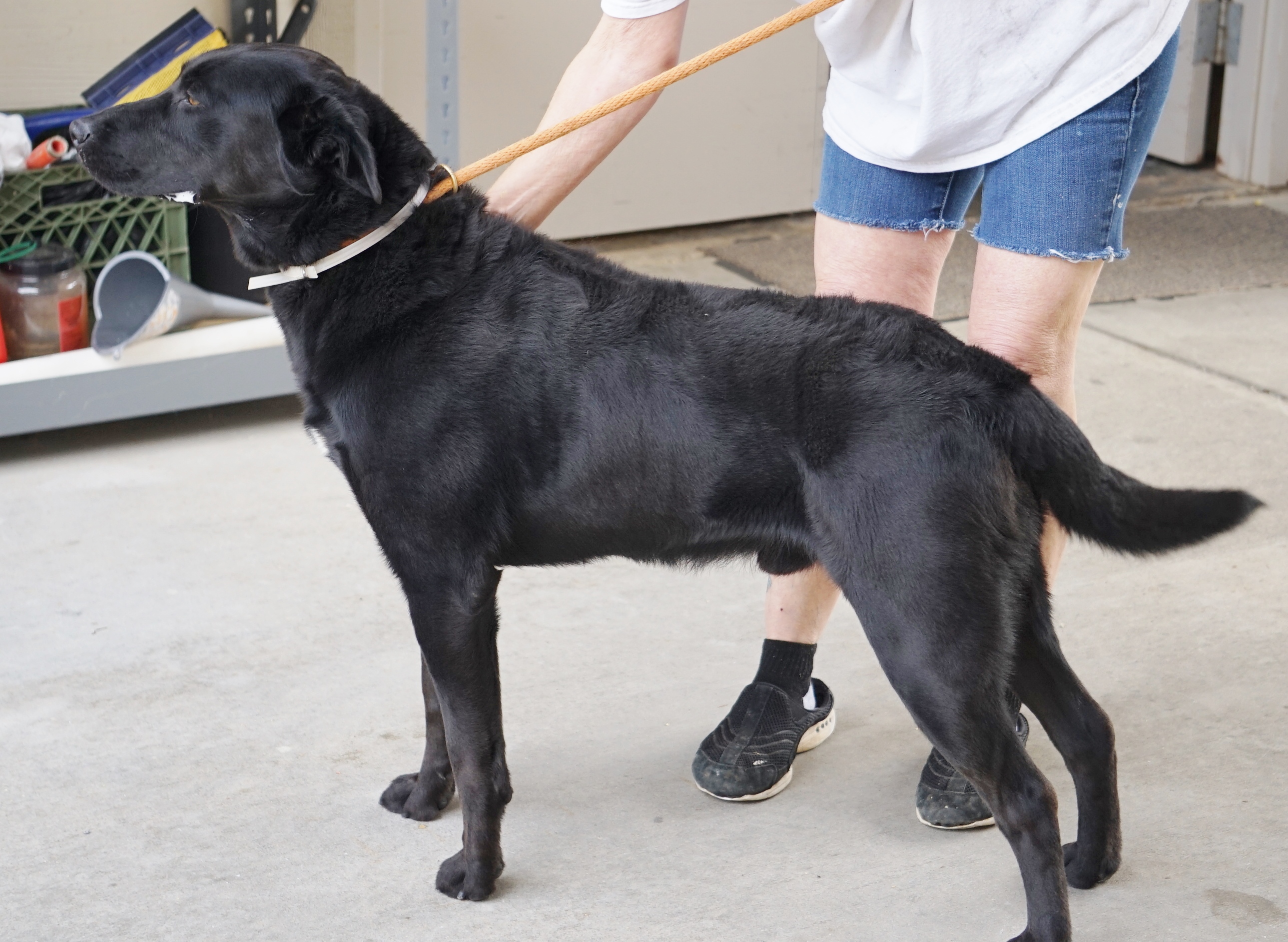 TERRANCE located in Toccoa, GA was saved