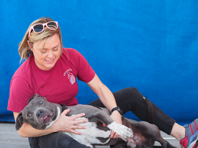 STEVEN located in Baldwin Park , CA was euthanized on Apr 15, 2019!