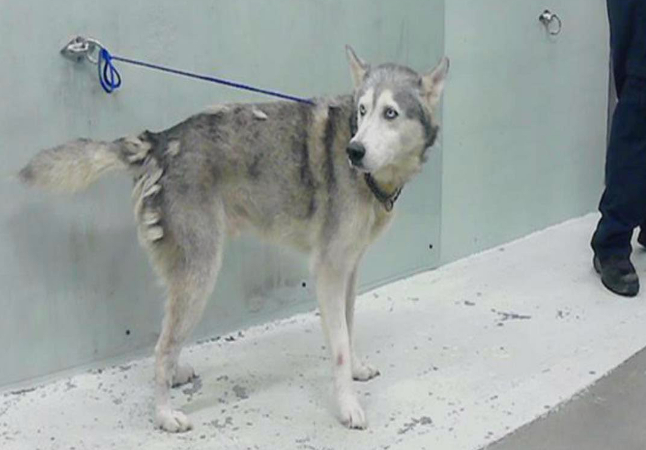 FANTOM located in Houston, TX has an unknown status at this time