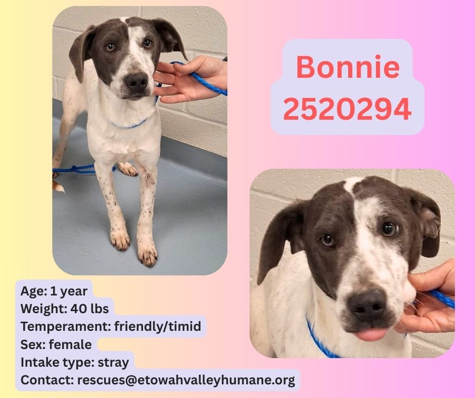 BONNIE located in Cartersville, GA was saved